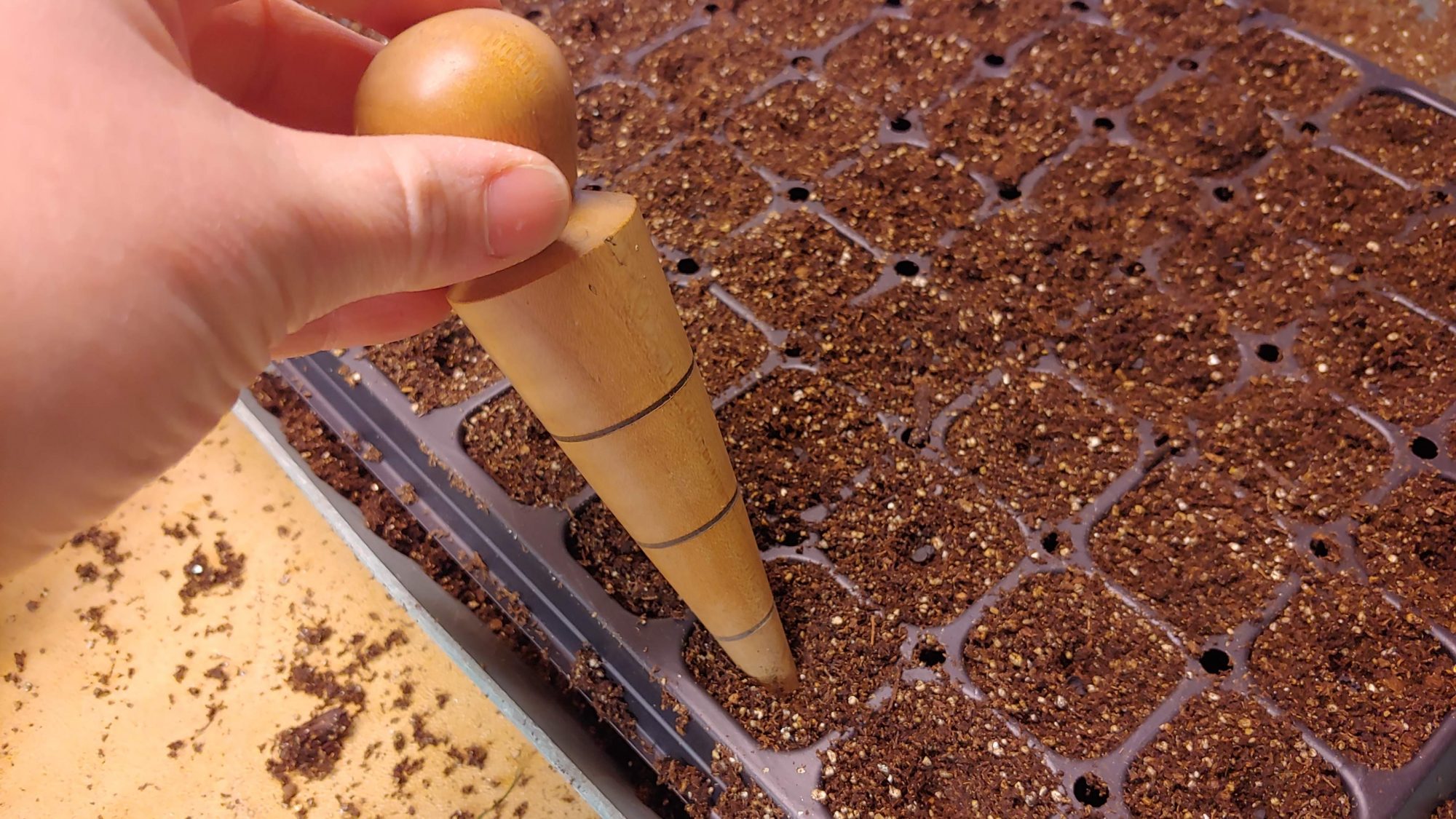 How to Start Seeds Indoors - Part 3: Planting & Caring for Seedlings ...