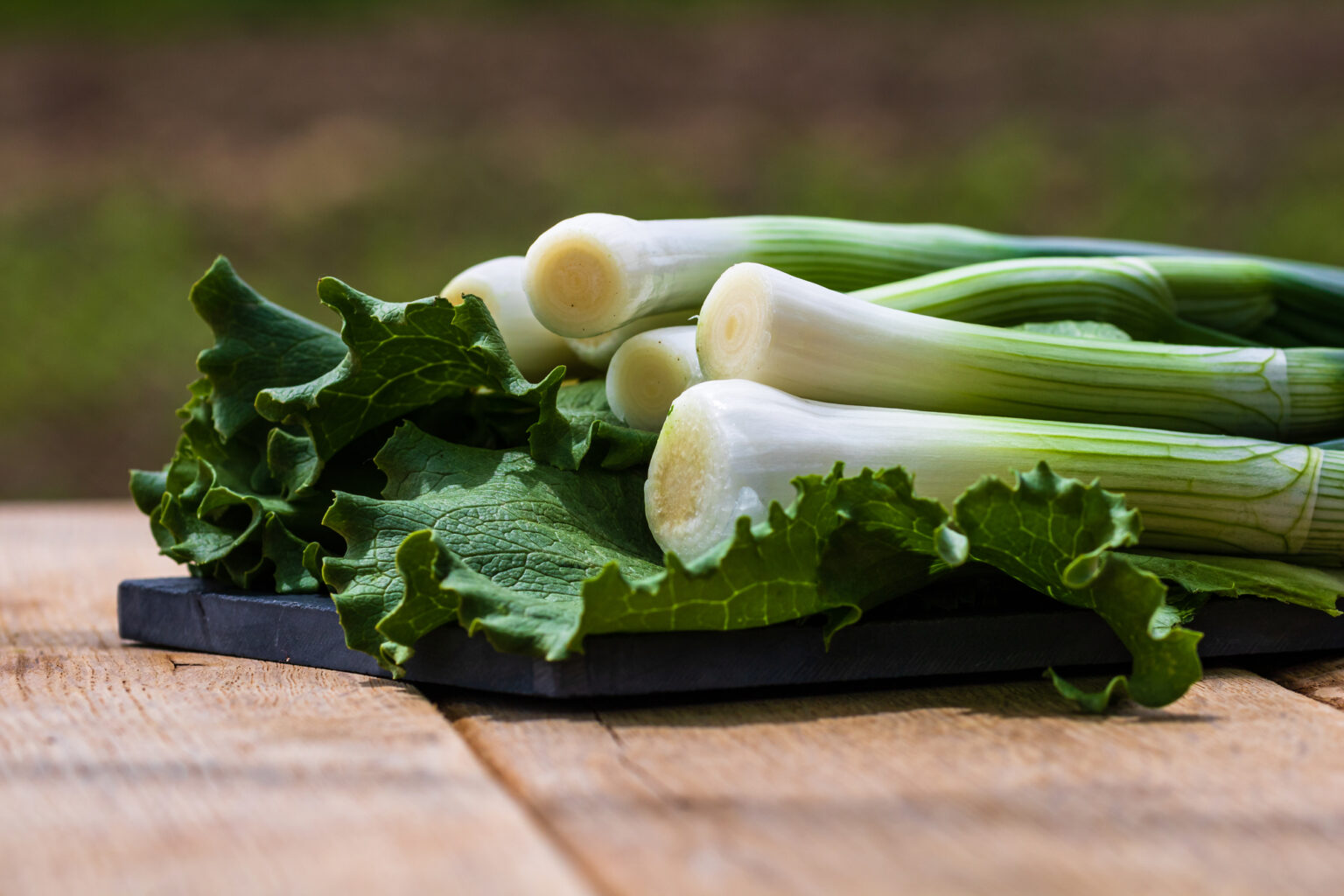 How To Regrow Scallions In Water