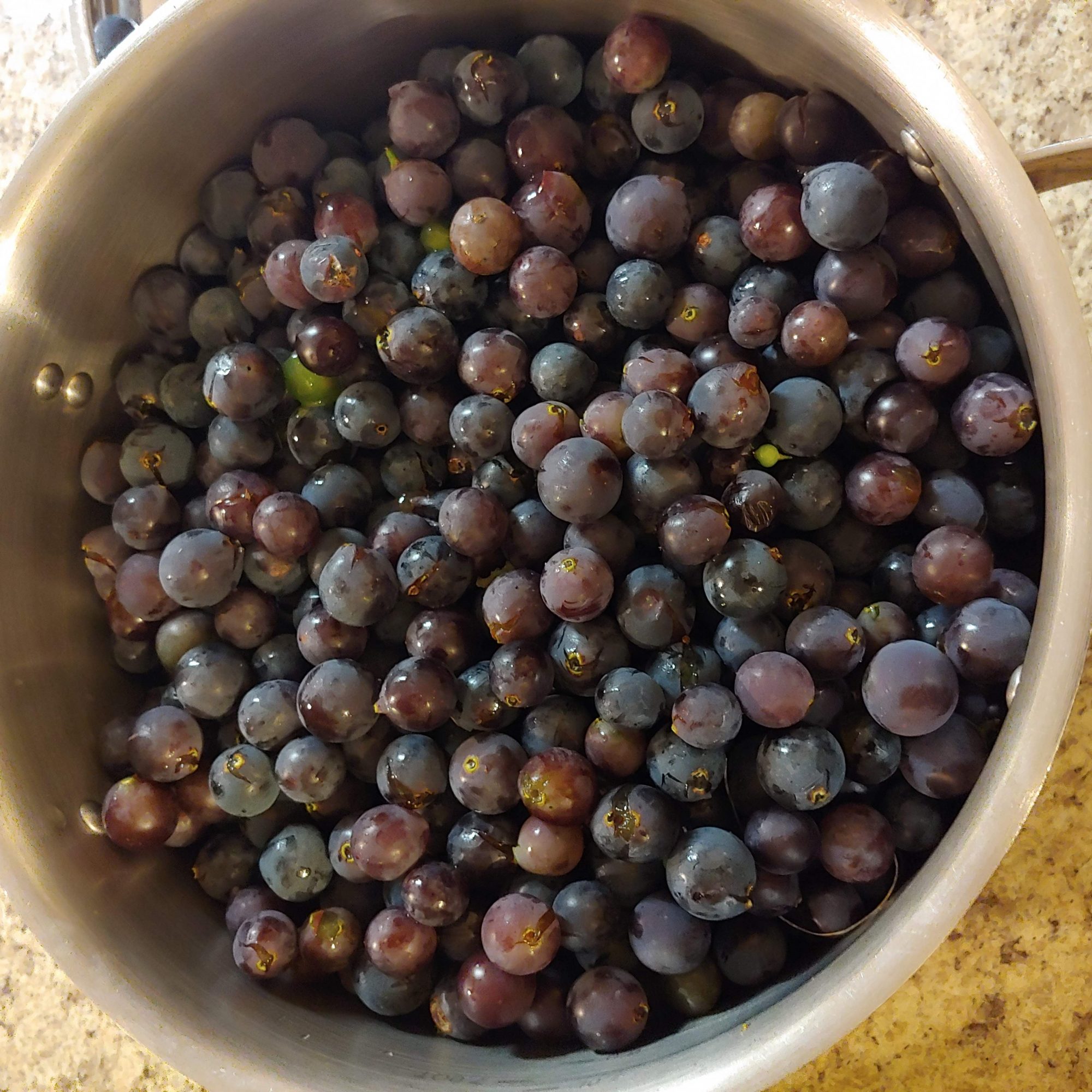 How To Make Homemade Grape Juice From Concord Grapes
