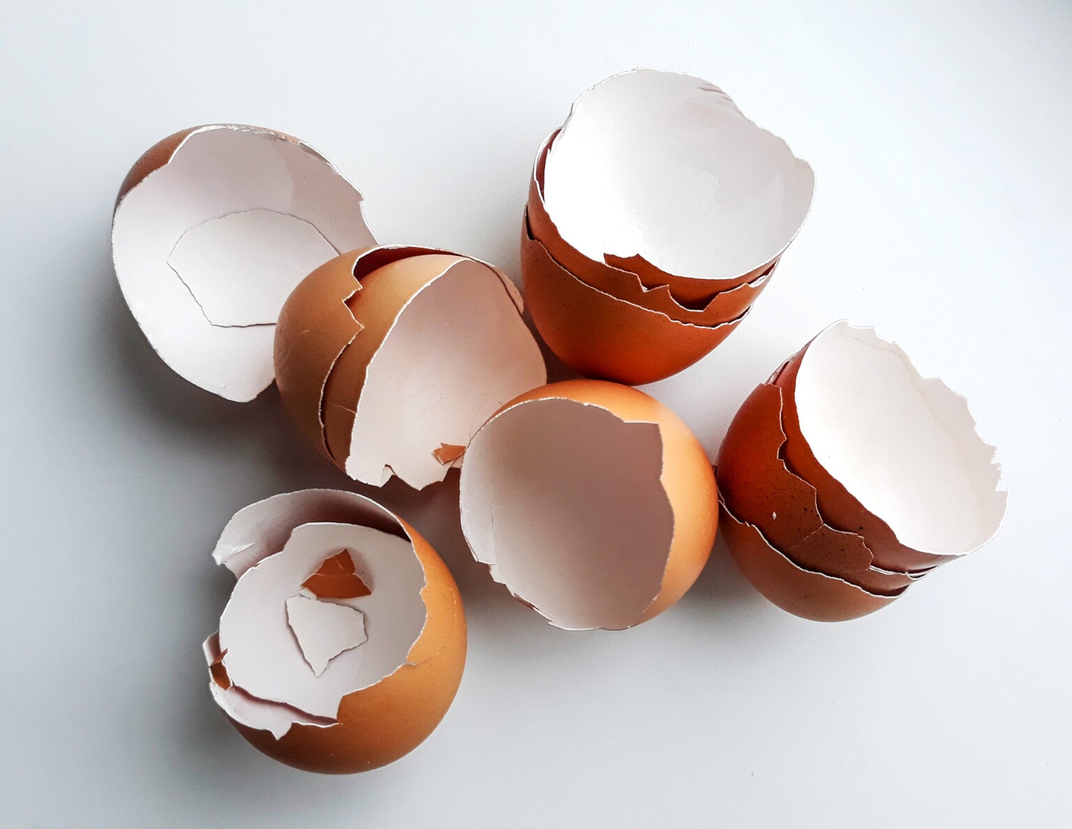 How To Use Eggshells In The Garden