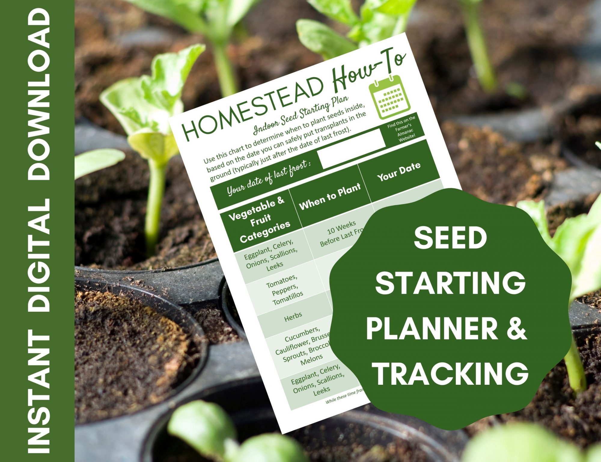 How To Germinate Seeds