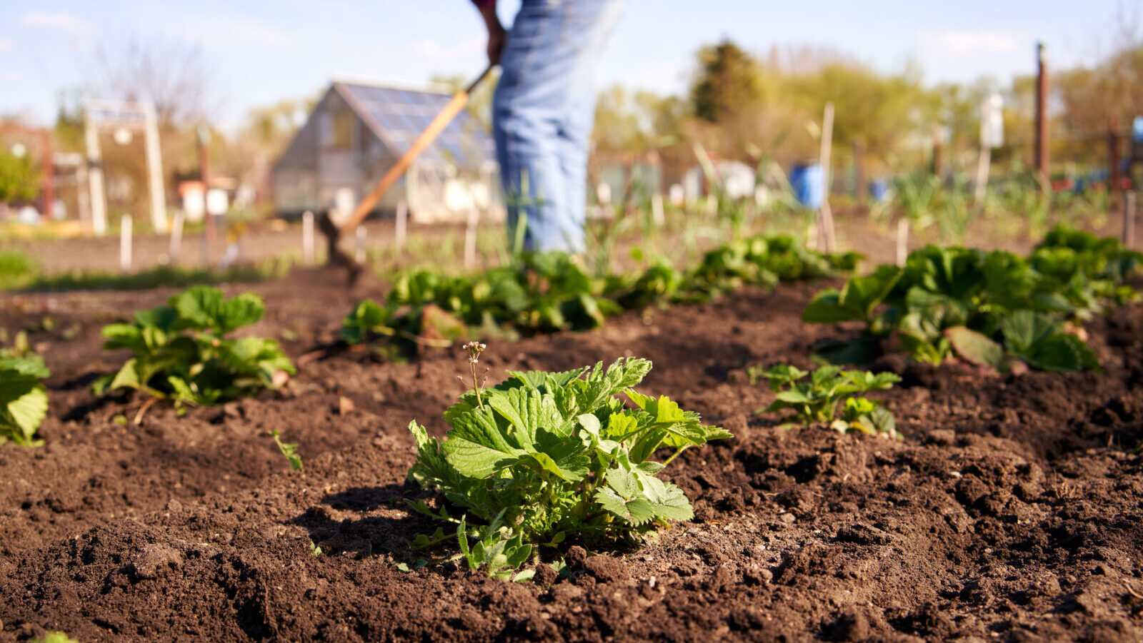 How To Define Homesteading: A Modern Day Definition