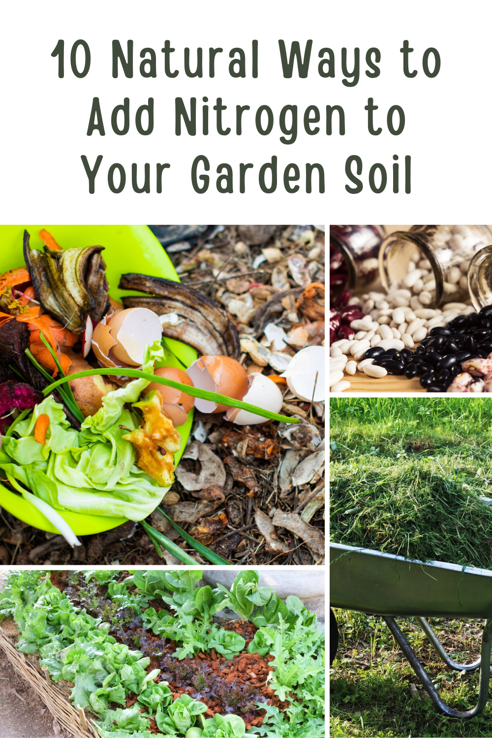 10 Natural Ways To Add Nitrogen To Your Garden Soil
