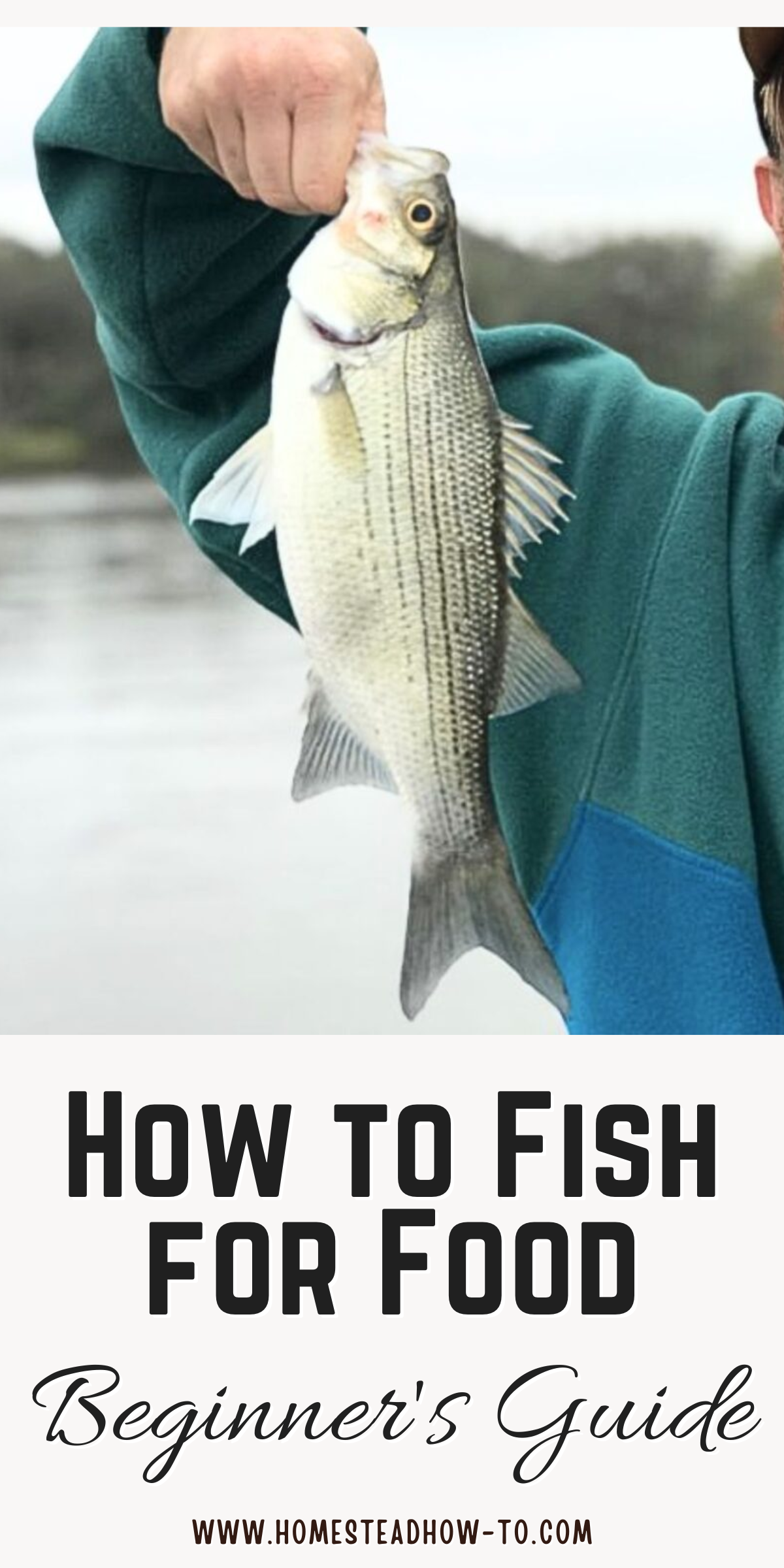 How To Fish For Food: A Beginner's Guide