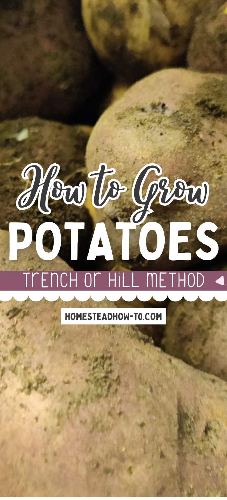 How To Grow Potatoes: Trench Or Hill Method