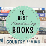 15 Best Homesteading Books, 2025