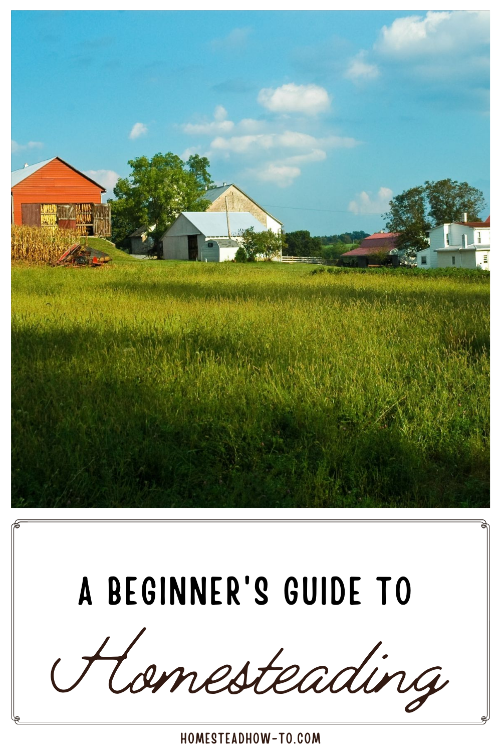 A Beginner's Guide To Homesteading