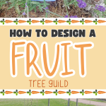 How To Design A Fruit Tree Guild