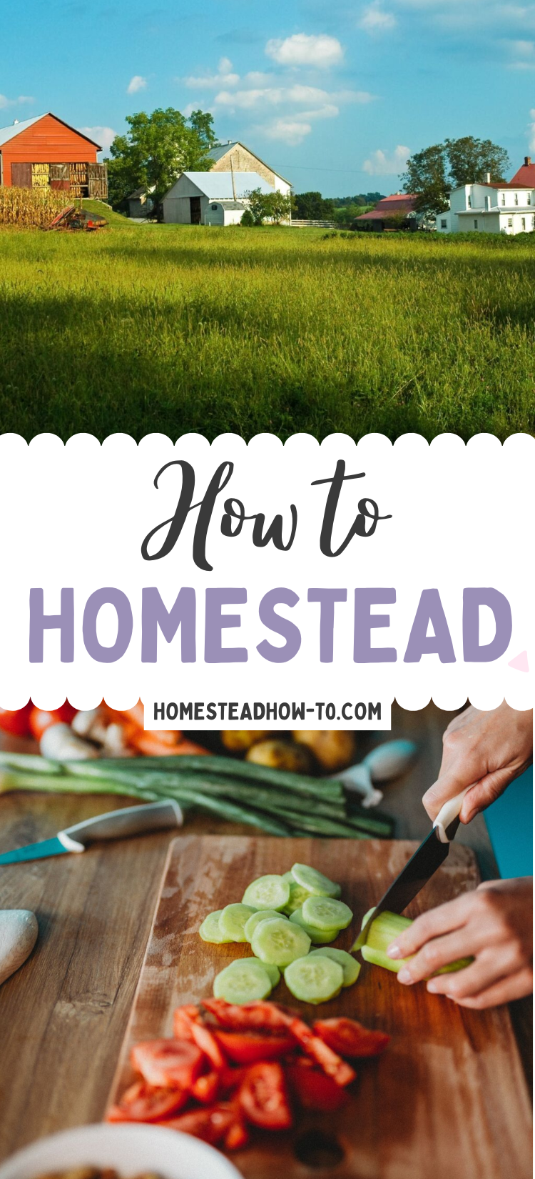 A Beginner's Guide To Homesteading