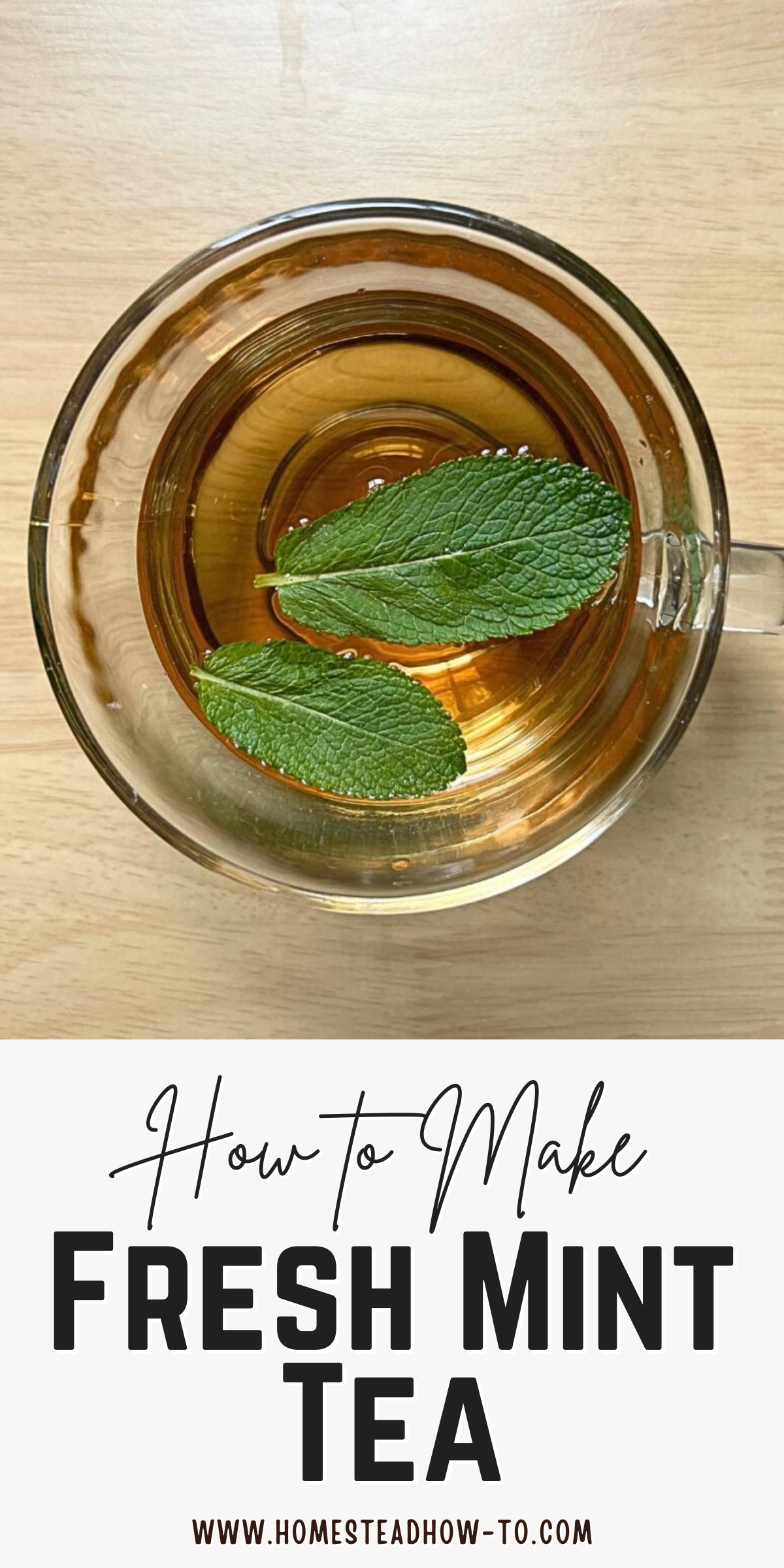 Step-by-Step Guide: How To Make Mint Tea With Fresh Mint