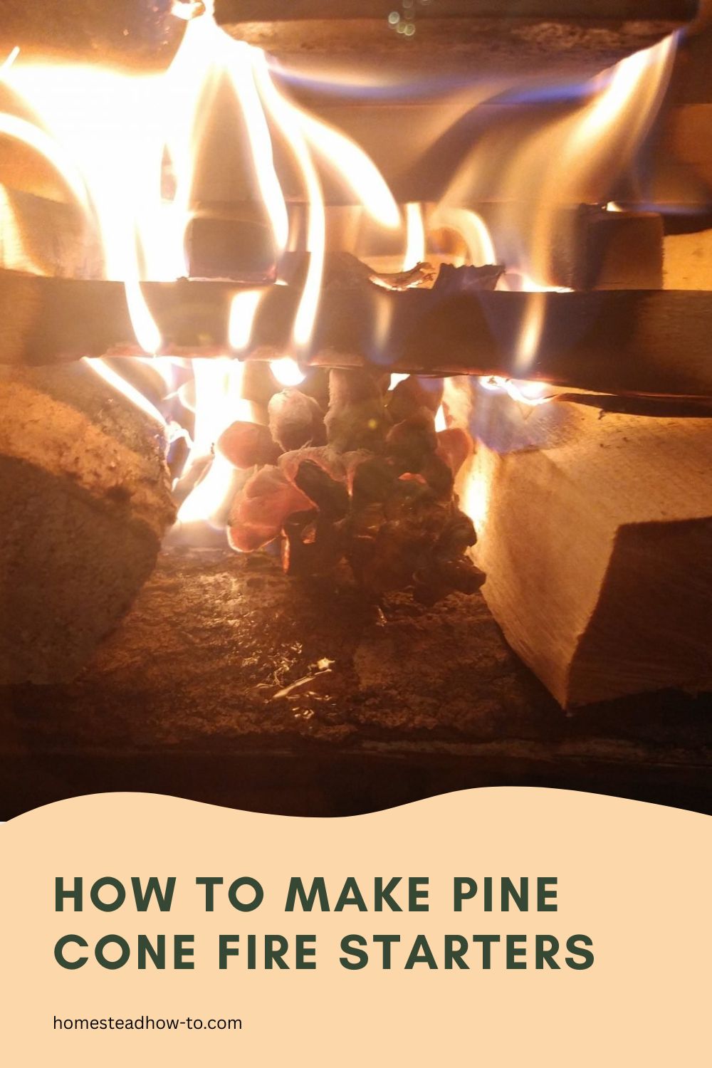 How To Make Pine Cone Fire Starters