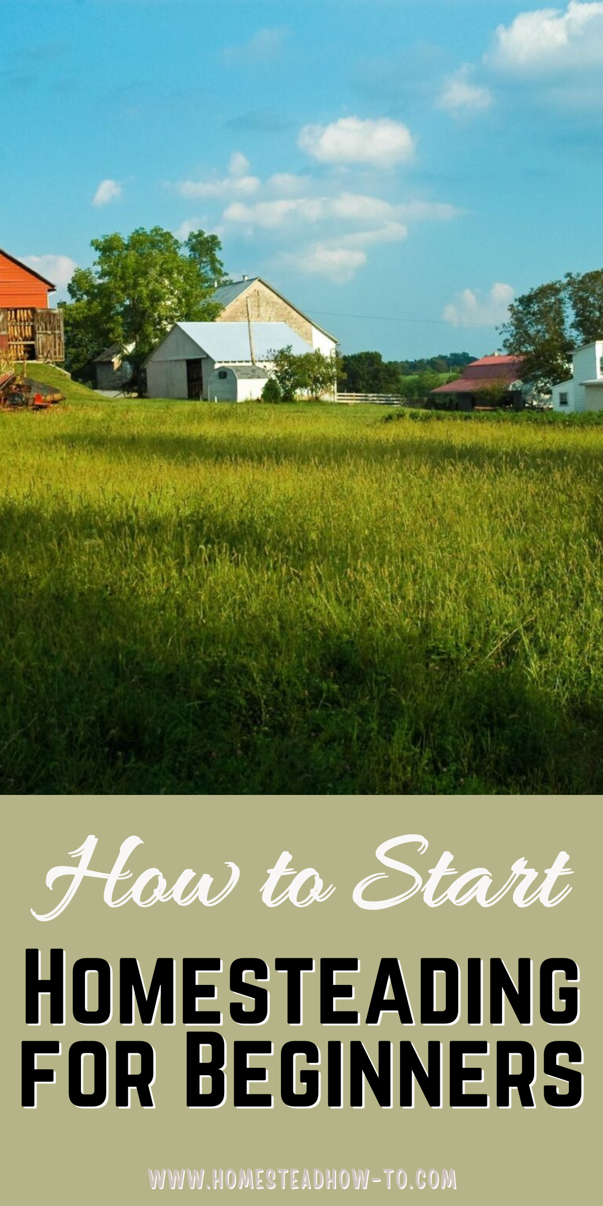 A Beginner's Guide To Homesteading