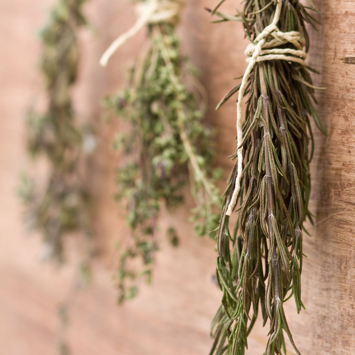 How To Dry Rosemary - 4 Easy Methods