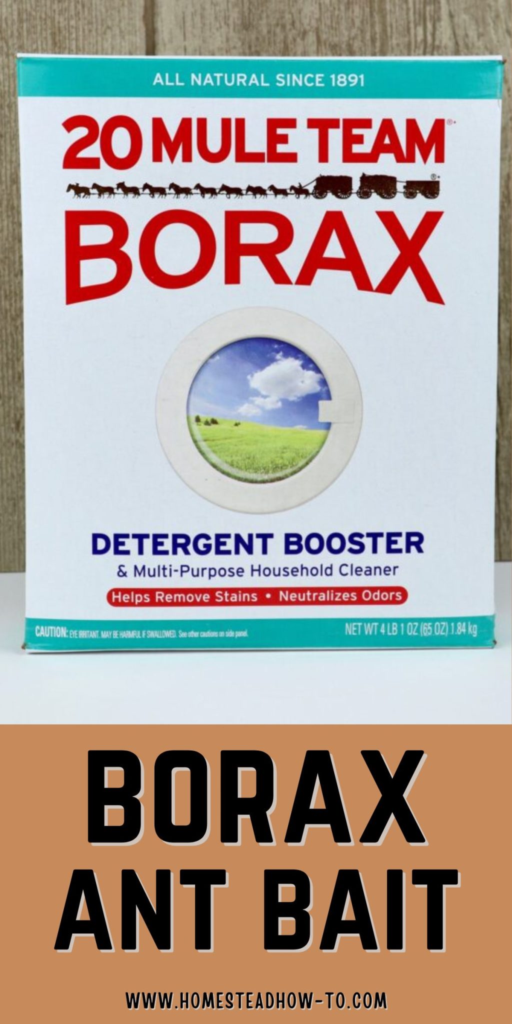 How To Make A Borax Ant Trap