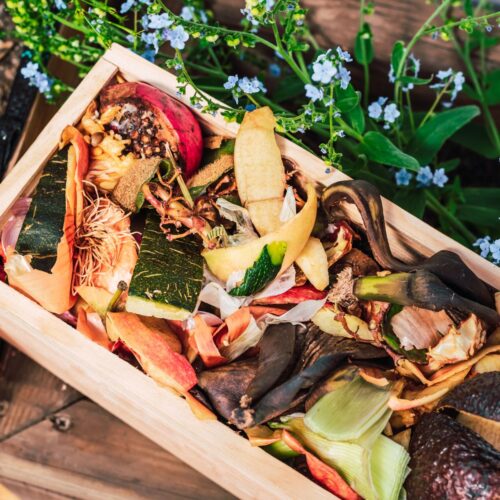 Composting How To: Easy Steps To Recycle Kitchen Waste