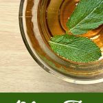 Step-by-Step Guide: How To Make Mint Tea With Fresh Mint