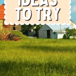 A Beginner's Guide To Homesteading