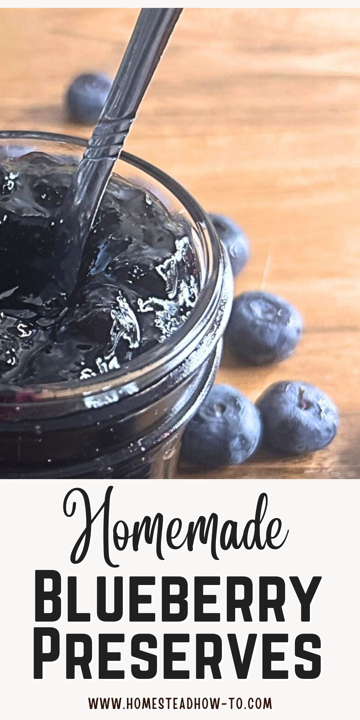 Homemade Blueberry Preserves