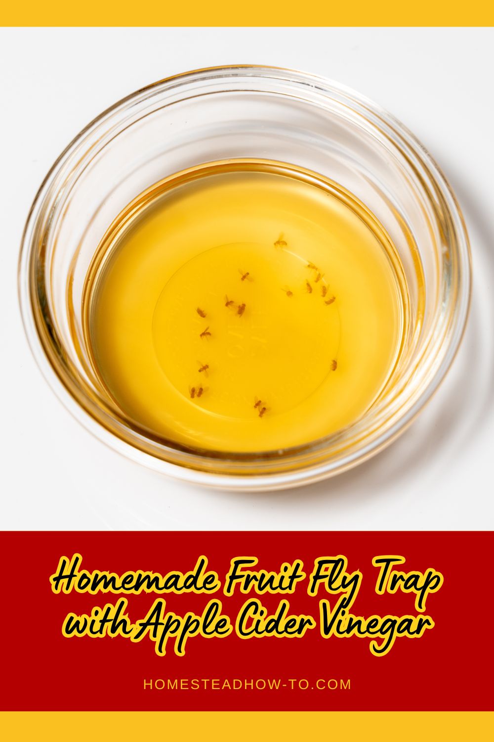 Homemade Fruit Fly Trap With Apple Cider Vinegar