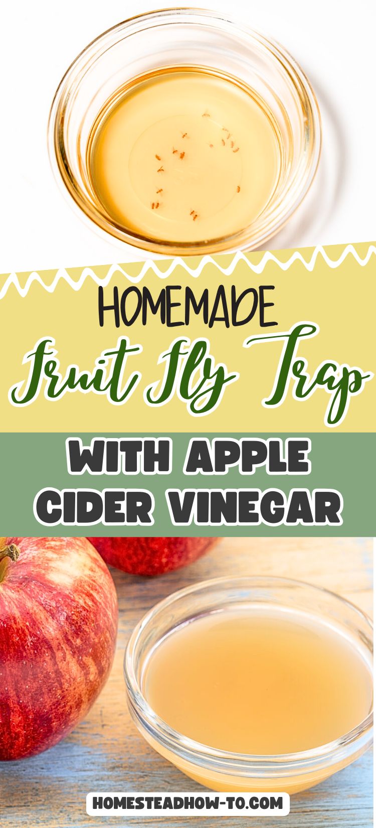 Homemade Fruit Fly Trap With Apple Cider Vinegar