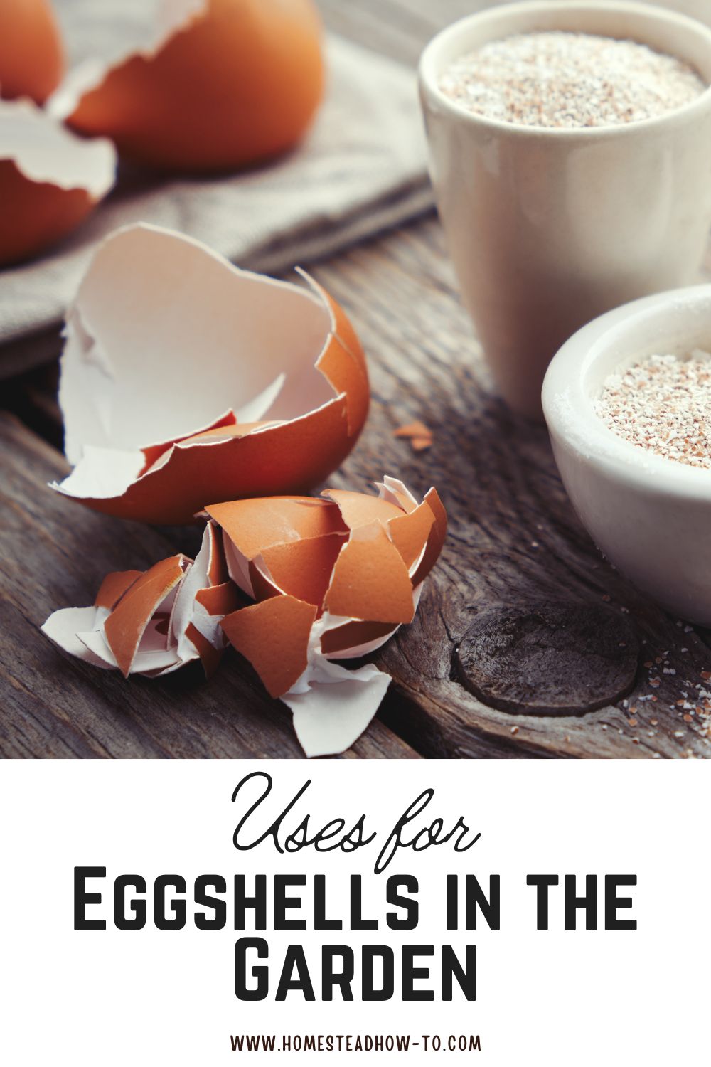 11 Uses For Eggshells In Your Garden