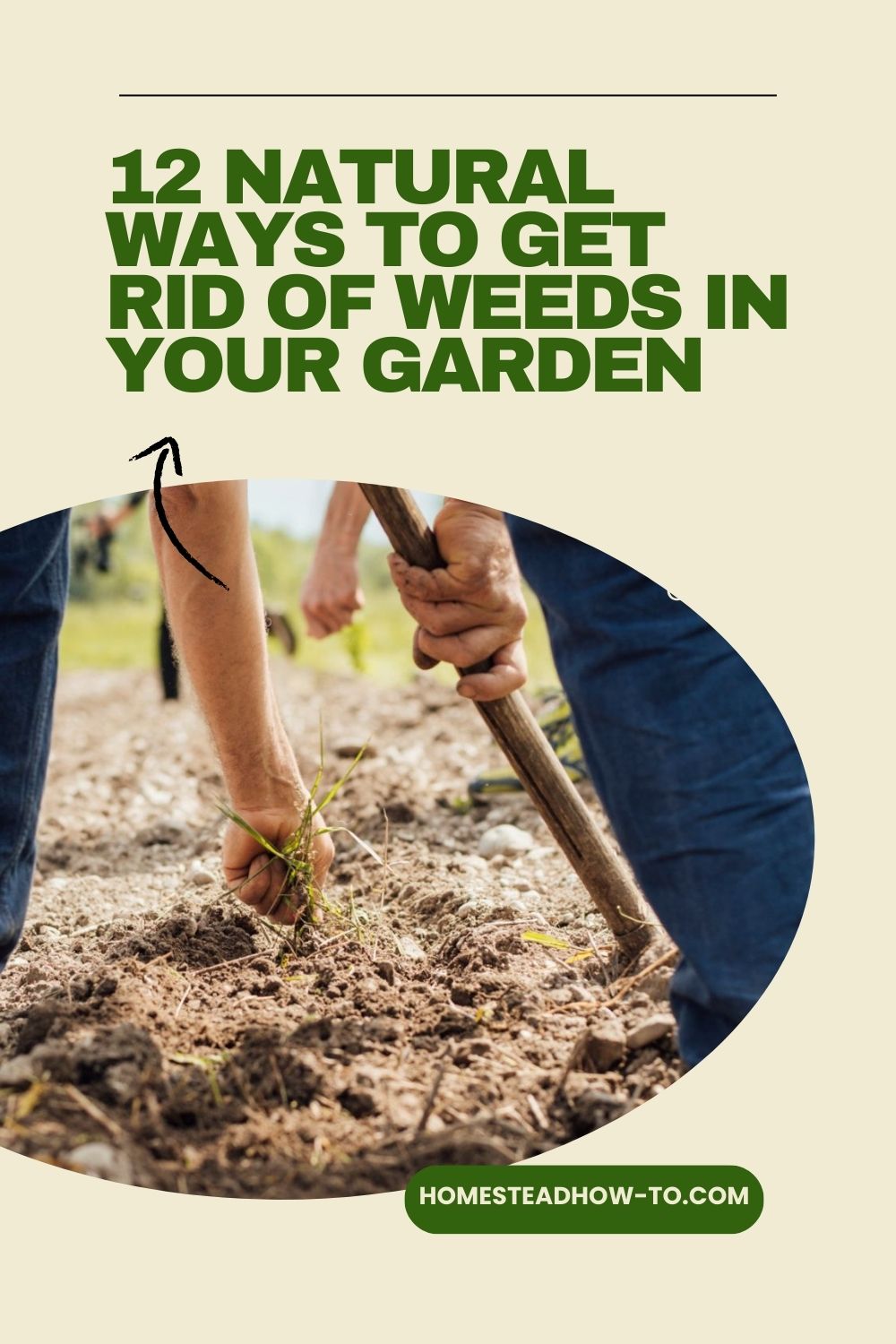12 Natural Ways To Get Rid Of Weeds In Your Garden