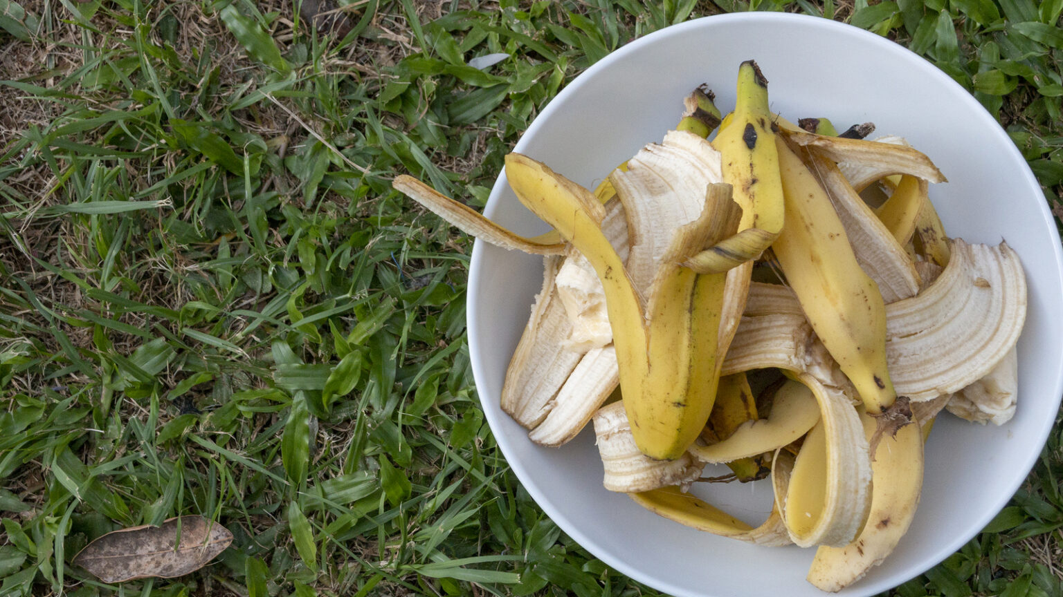 12 Clever Ways To Use Up Leftover Orange Peels