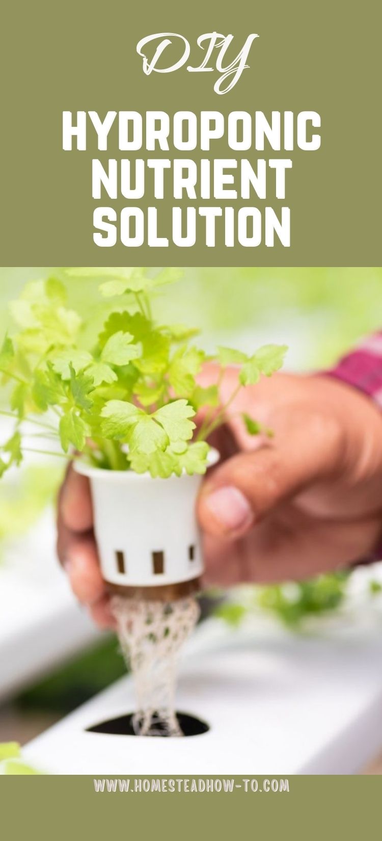 How To Make Your Own Hydroponics Nutrients