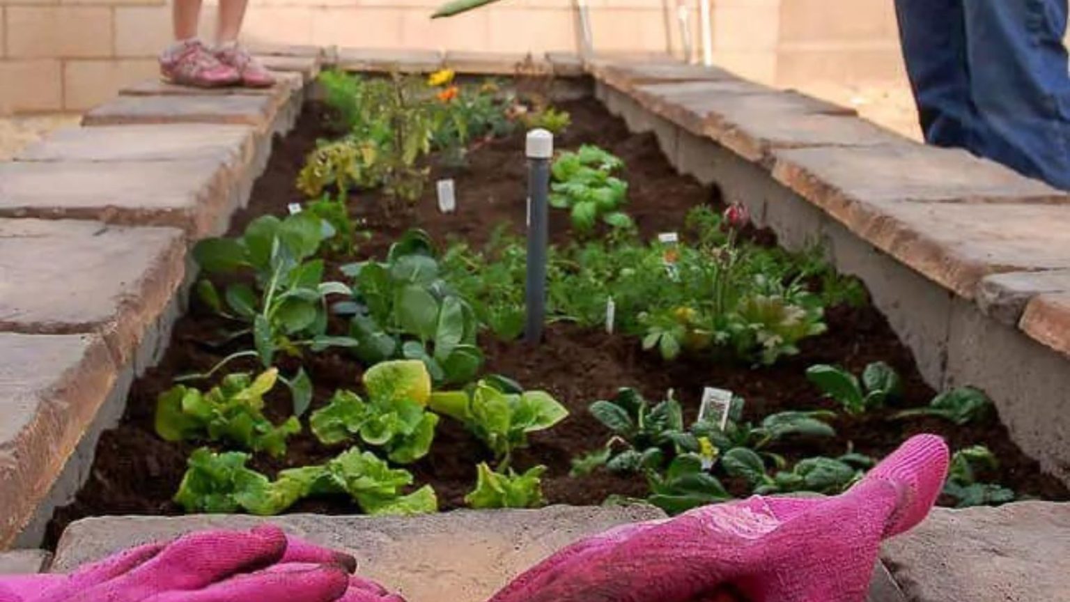 Build Your Dream Garden With These 16 Easy DIY Raised Beds