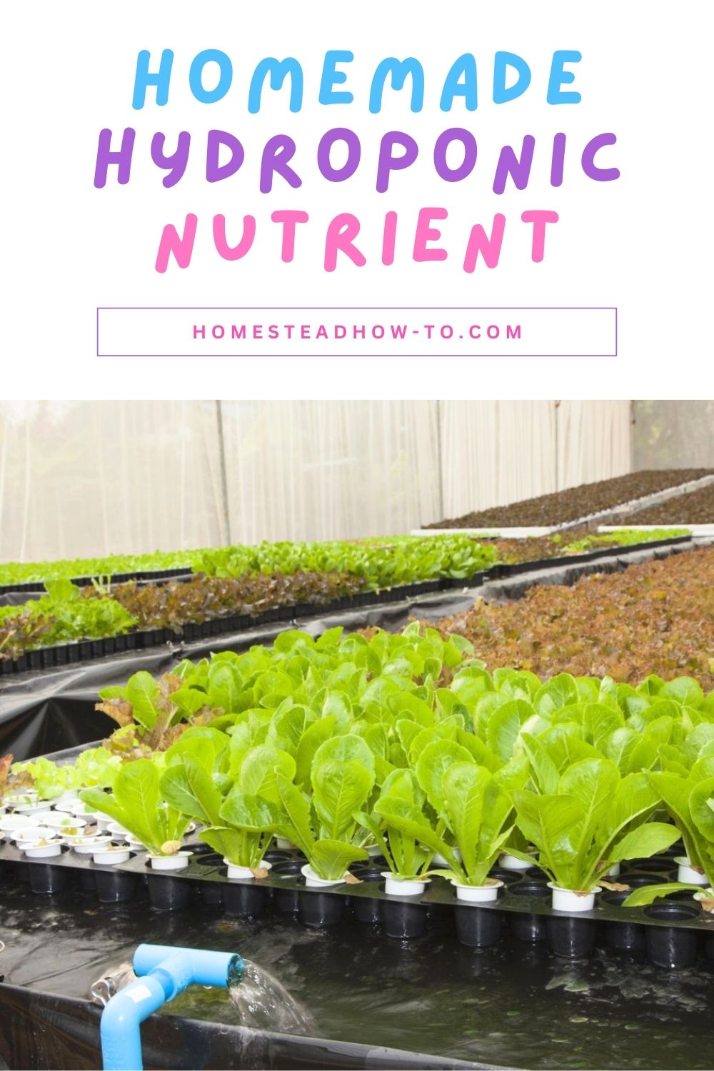 How To Make Your Own Hydroponics Nutrients