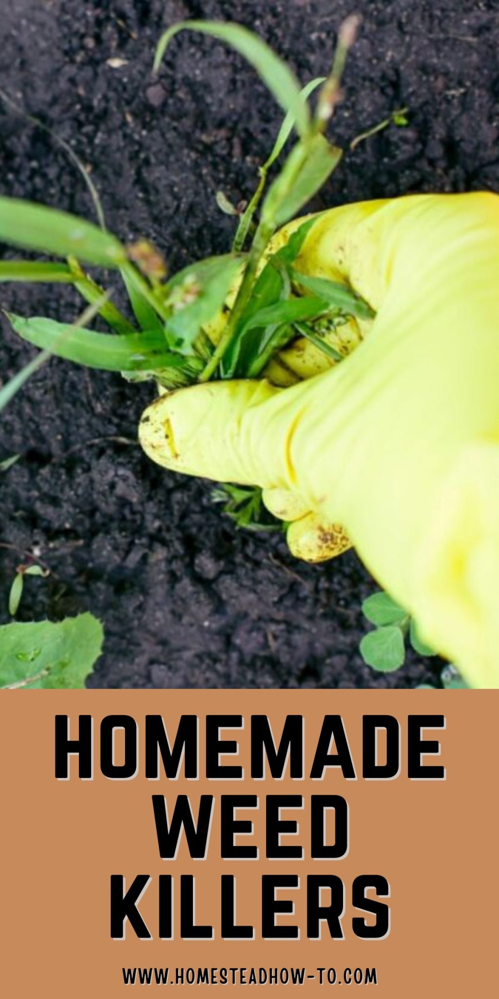 12 Natural Ways To Get Rid Of Weeds In Your Garden