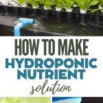 How To Make Your Own Hydroponics Nutrients