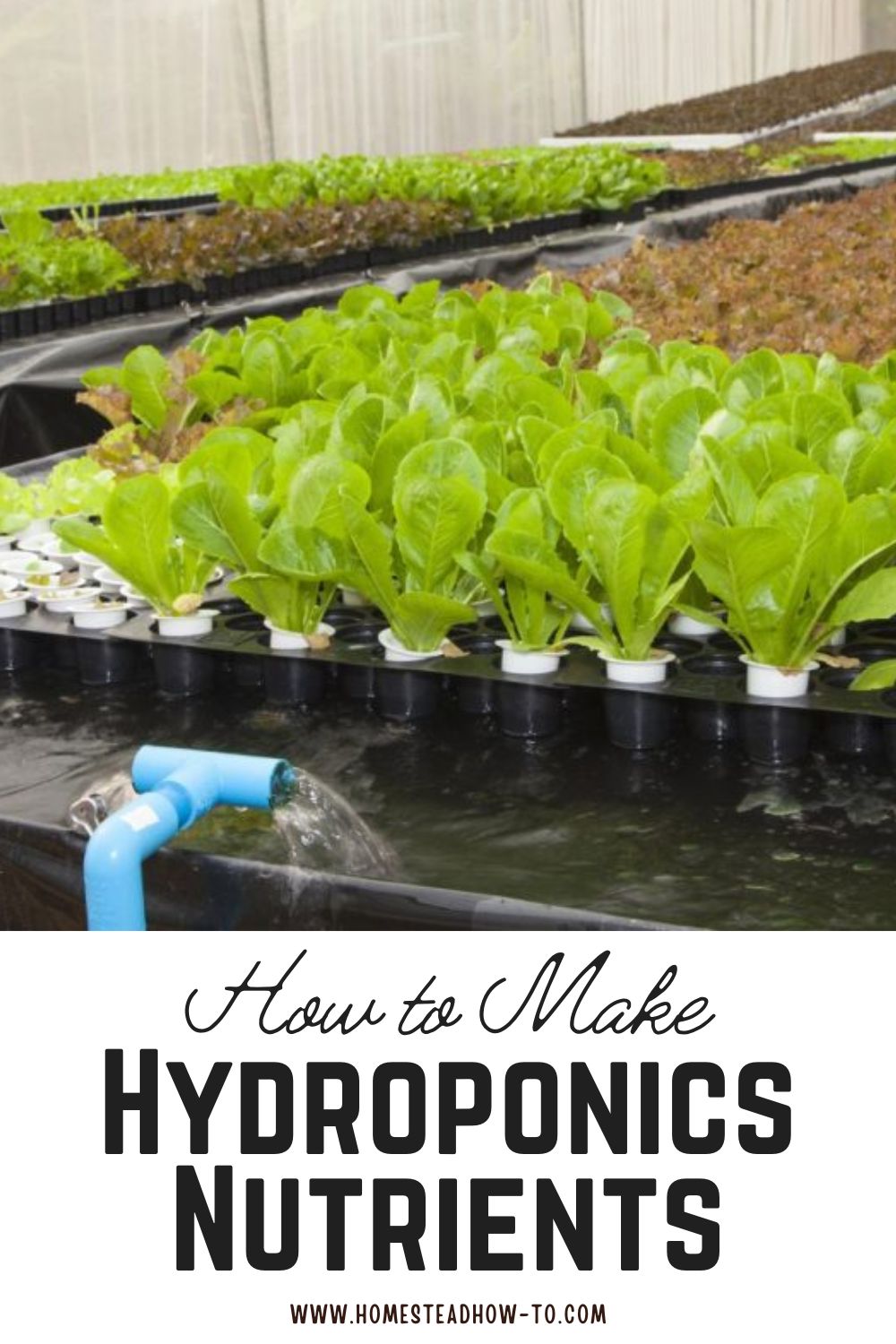 How To Make Your Own Hydroponics Nutrients