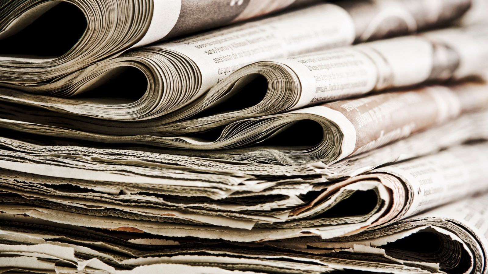 10 Cheap Mulch Ideas For A Lush Garden