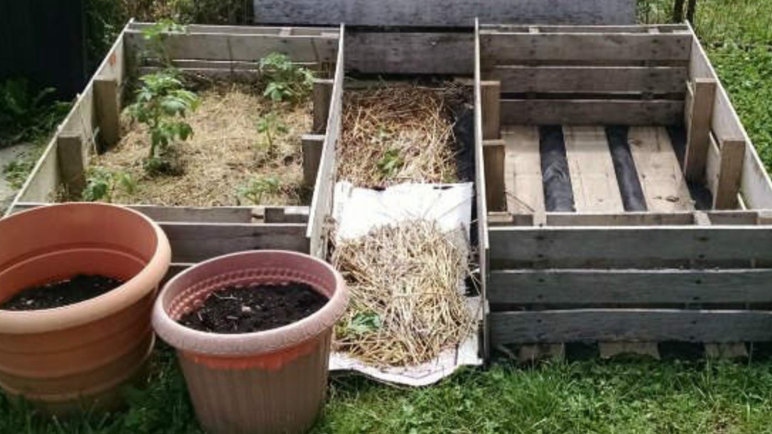 Build Your Dream Garden With These 16 Easy DIY Raised Beds