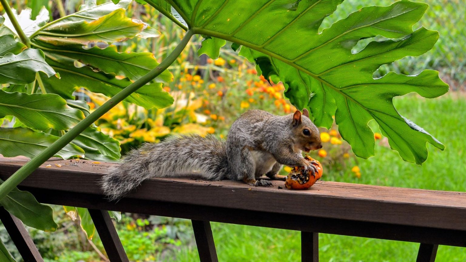 Weird Holes Showing Up In Your Lawn? Here’s What's Causing Them