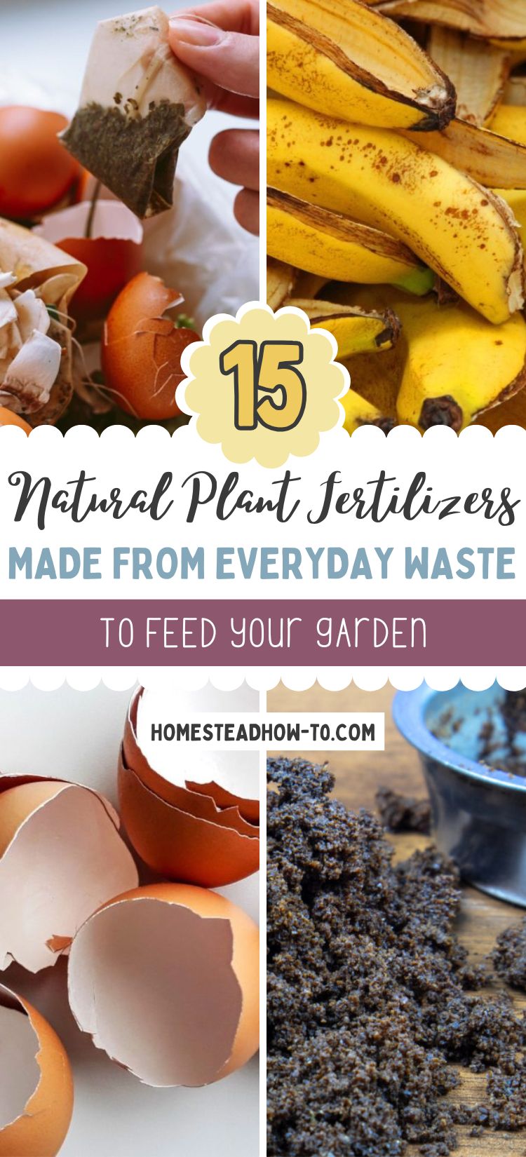 15 Natural Plant Fertilizers Made From Everyday Waste To Feed Your Garden