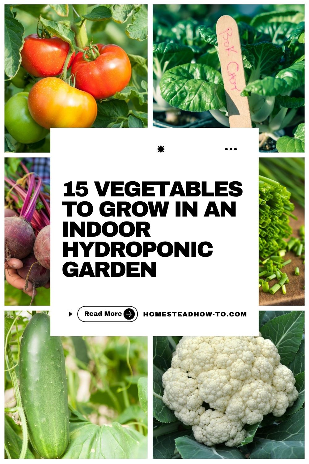 15 Vegetables To Grow In An Indoor Hydroponic Garden