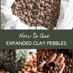 How To Use Expanded Clay Pebbles