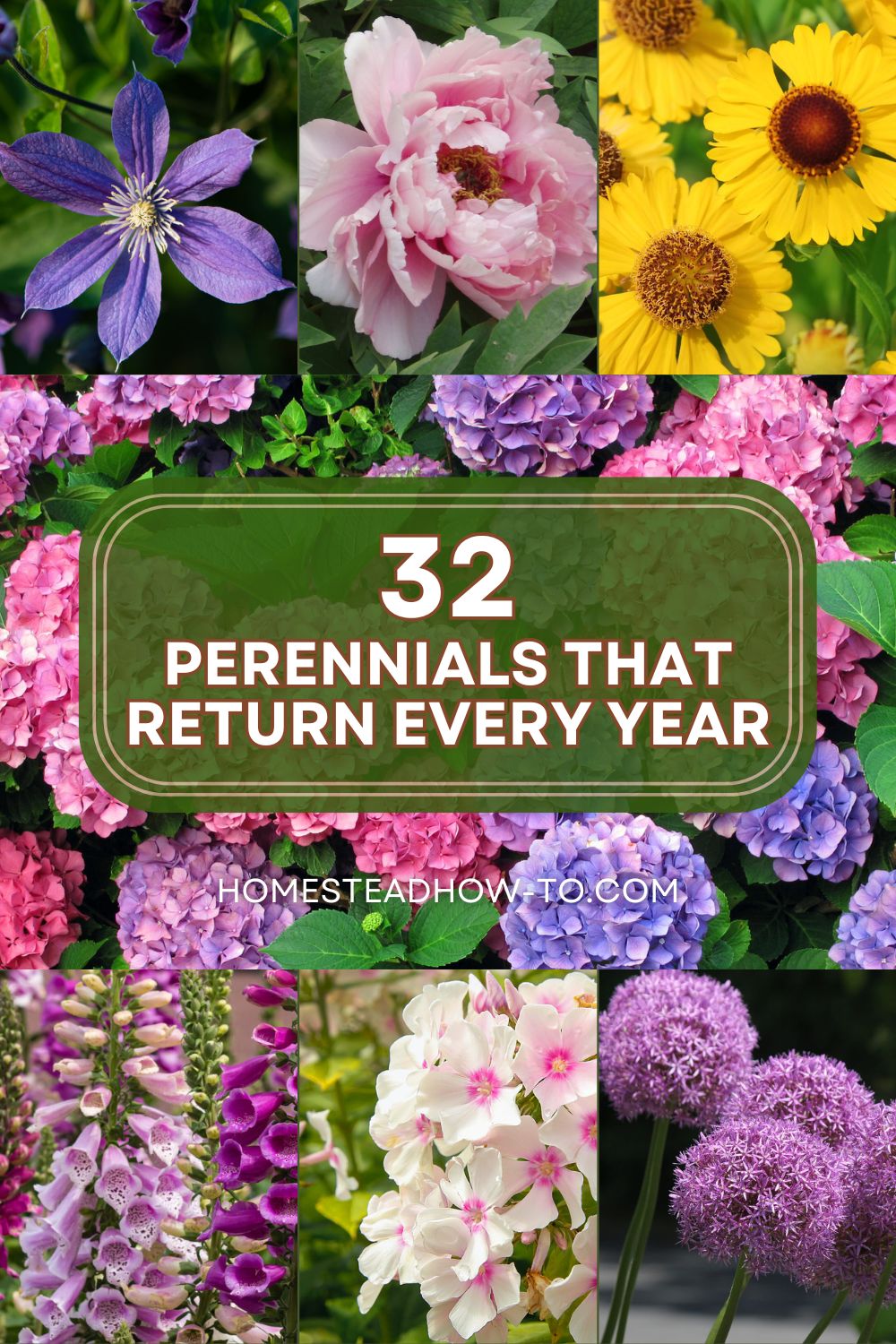 32 Colorful Perennials That Will Never Leave Your Garden Once Planted