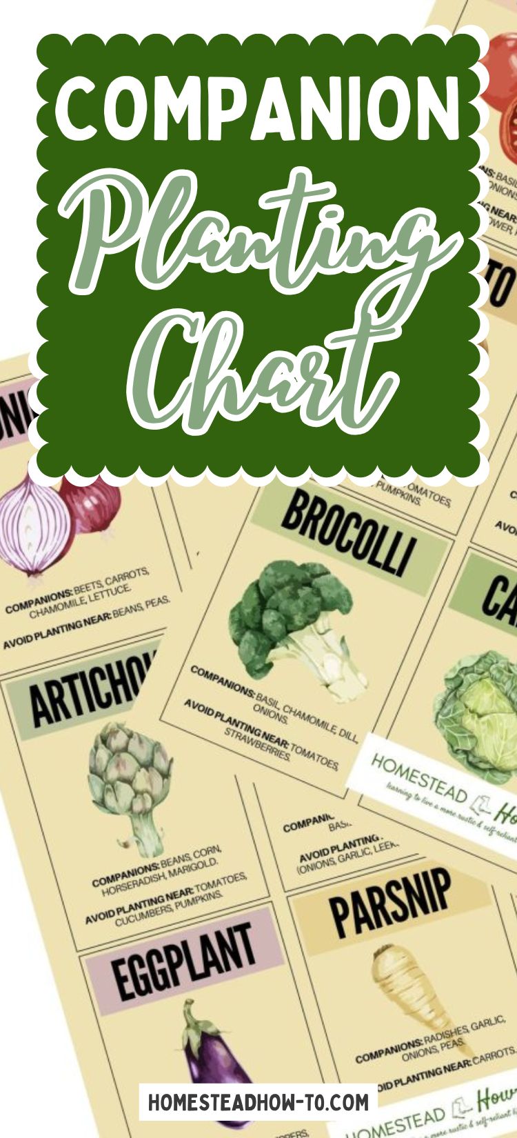 Vegetable Companion Planting Chart (Free Printable)