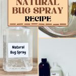 Homemade All Natural Bug Spray For Mosquitoes And Ticks