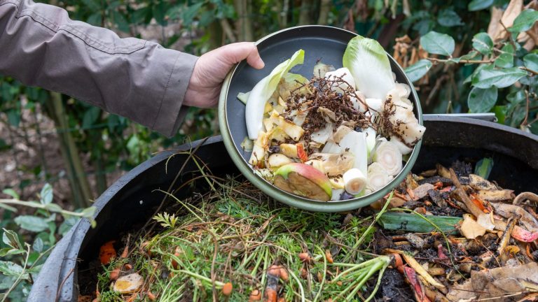 14 Ways To Repurpose And Recycle Your Christmas Tree After The Holidays