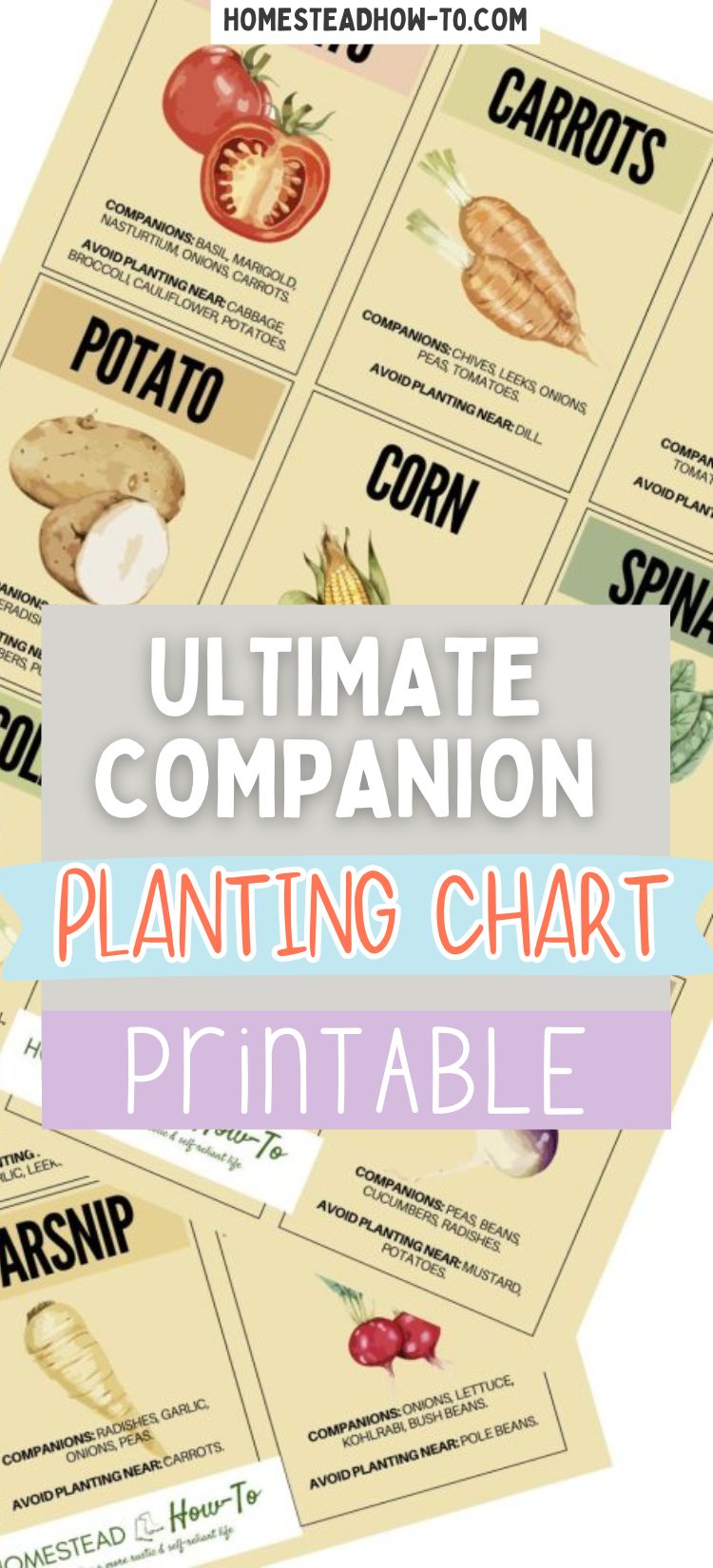Vegetable Companion Planting Chart (Free Printable)