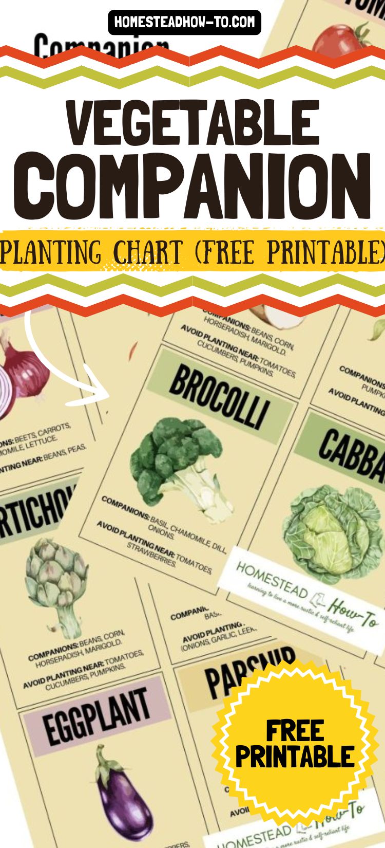 Vegetable Companion Planting Chart (Free Printable)