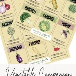 Vegetable Companion Planting Chart (Free Printable)