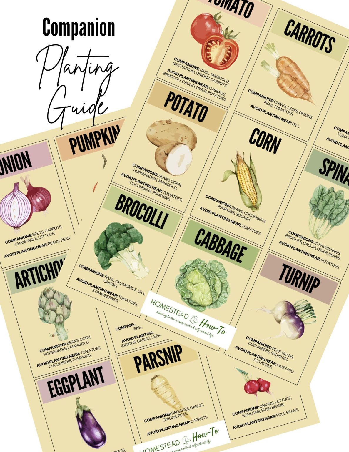 Vegetable Companion Planting Chart (Free Printable)