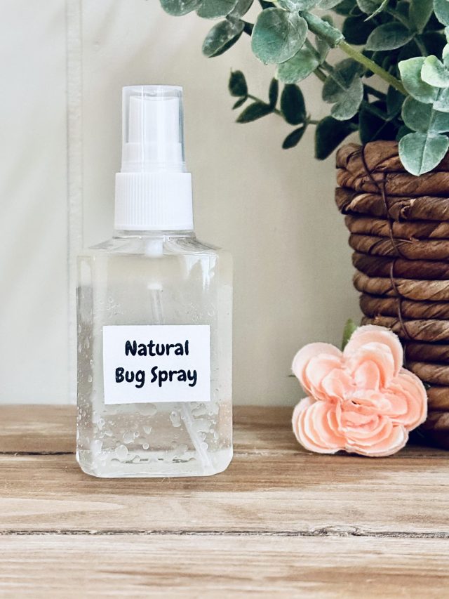Homemade All Natural Bug Spray For Mosquitoes And Ticks
