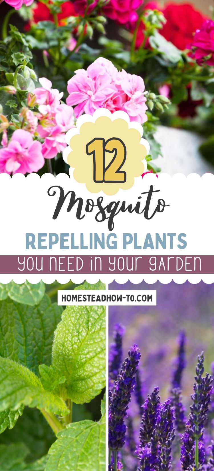 12 Mosquito Repelling Plants You Need In Your Garden