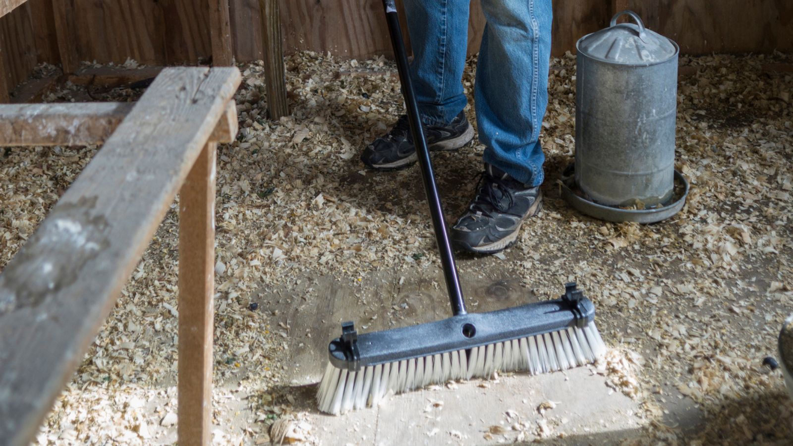 How To Manage And Treat Coccidiosis In Chickens